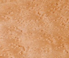 Walnut wood grain pattern Texture ID16932 - CadNav