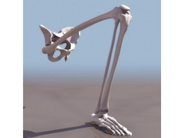 Leg 3D Models Free Download - CadNav