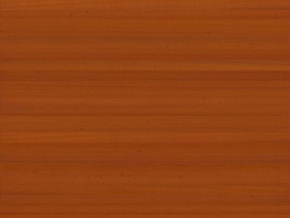 Neem tree bark Texture ID5597 - CadNav