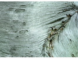 Pear wood Texture ID5452 - CadNav