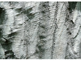 Wood cross section Texture ID5726 - CadNav