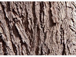 Wood textures,bark textures and bamboo textures free download page 10 ...