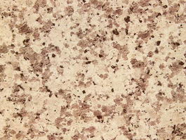 Ekeberg marble wall tile Texture ID4014 - CadNav