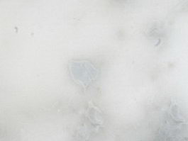 Silver Diamond Granite Texture ID6586 - CadNav