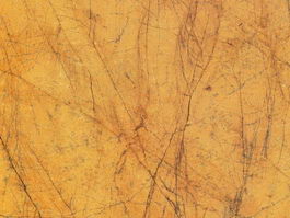 Portugal Breccia Tavira Marble texture - Image 7061 on CadNav