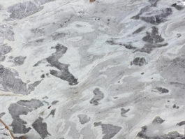 Breccia Paradiso Marble Texture ID7096 - CadNav