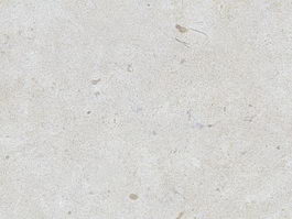Dora cloud grey marble surface Texture ID16133 - CadNav