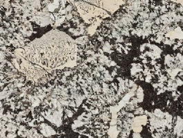 Sand Cream Marble Texture ID7731 - CadNav