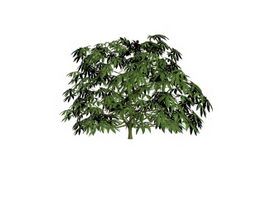 Cartoon Tree with Branches and Leaves 3d model Maya files free download ...