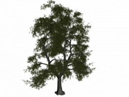 Dwarf Flowering Peach Tree 3d model Maya files free download - CadNav