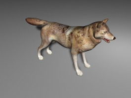 Gray wolf 3d model 3dsMax files free download - CadNav