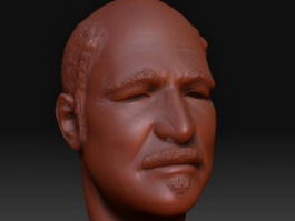 Bald head 3d model Zbrush files free download - CadNav