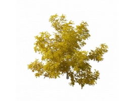 Beautiful yellow tree 3d model 3ds max files free download - CadNav