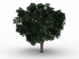 Summer Tree 3d model Maya files free download - modeling 50462 on CadNav