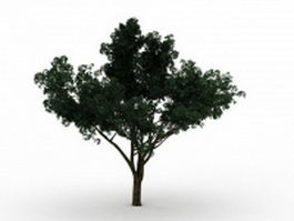 Palm Tree 3d model Maya files free download - CadNav