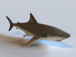 Lemon Shark 3d model 3ds Max files free download - CadNav