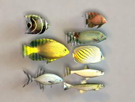 Marine Fish Collection 3d model 3ds Max files free download - CadNav