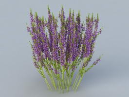 Heather Flower 3d model 3ds Max files free download - CadNav
