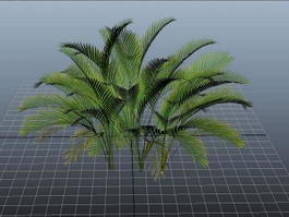 Plants And Trees 3D Model Free Download page 10 - CadNav