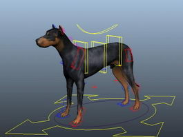 Doberman Dog Rig 3d model Maya files free download - CadNav