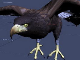 Realistic Eagle Animated Rig 3d model 3ds Max files free download - CadNav