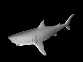 shark 3d model free download - CadNav