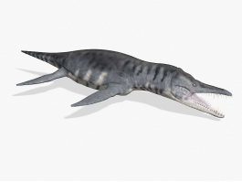 Low Poly Wolf 3d model Autodesk FBX,Collada,Object files free download ...