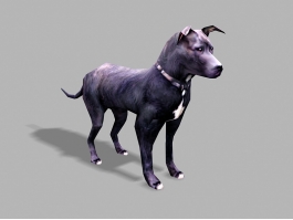 Dog 3D Models Free Download - CadNav