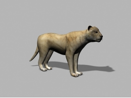 Animals 3d models free download - CadNav