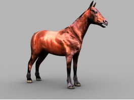 Animals 3d models free download - CadNav