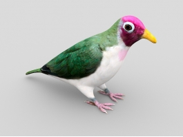 Birds 3D Models Free Download - CadNav