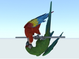Birds 3D Models Free Download - CadNav
