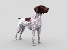 Dog 3D Models Free Download - CadNav