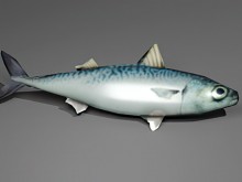 Fish 3D Models Free Download - CadNav
