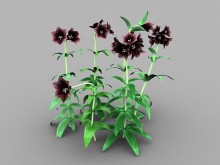 Black Flower Plant 3D Model Download - 3ds Max Files - CadNav