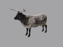 Africa Cattle 3D Model Download - Blender Files - CadNav