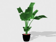 Potted Plants 3D Models Free Download - CadNav
